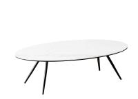 China Rectangle Artistic Coffee Tables , Tempered Glass Coffee Table Black Leg for sale