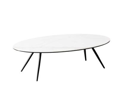 China Rectangle Artistic Coffee Tables , Tempered Glass Coffee Table Black Leg for sale