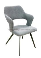 China Leisure Modern Living Room Chairs for sale
