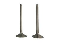 China DEUTZ MWM TBG620 V16(6002) – 12300234 Intake Valve for sale