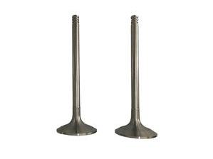 China DEUTZ MWM TBG620 V16(6002) – 12300234 Intake Valve for sale