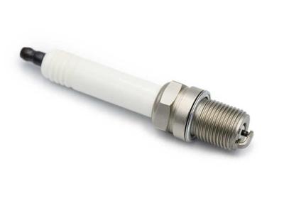 China Special Spark Plug 12420480 for sale