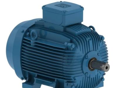 China WEG W21-22KW-4P-180L-380V-50HZ-IE3-B35T Motor Specifications for sale