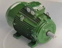 China WEG W21‑55KW‑8P‑315S/M‑660V‑50HZ‑IE3‑IP66‑V1T Motor Specifications for sale