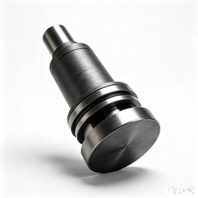China Piston 3115 3171 00 for COP MD20 for sale