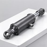 China Hydraulic Cylinder for DM3011 Lifting Tower2310031946 for sale