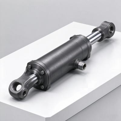 China Hydraulic Cylinder for DM3011 Lifting Tower2310031946 for sale