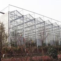 China Sides And Top Ventilation System Multispan Glass Covered Venlo Type Greenhouse for sale