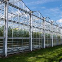 China Sides And Top Ventilation System Multispan Glass Covered Venlo Type Greenhouse for sale