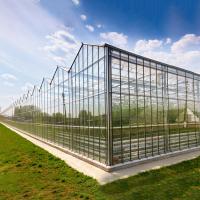 China Sides And Top Ventilation System Multispan Glass Covered Venlo Type Greenhouse for sale