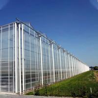 China Agricultural Transparent Venlo Type Greenhouse For Fruits Flowers for sale