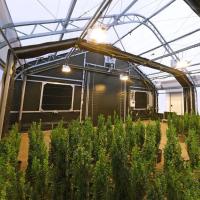 China Pc Sheet Cannabis Blackout Light Deprivation Greenhouse Agriculture Plants Growing for sale