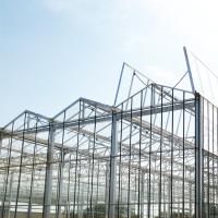 China Galvanized Steel Frame Multi Span Venlo Glass Greenhouse Large Automatic for sale