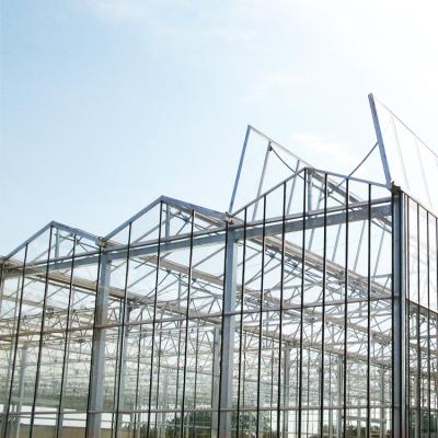 China Galvanized Steel Frame Multi Span Venlo Glass Greenhouse Large Automatic for sale