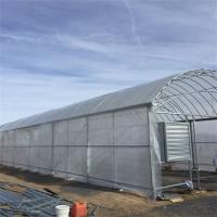 China Poly Plastic Film Single Span Greenhouse Hot Galvanized Steel Frame Anti Uv for sale