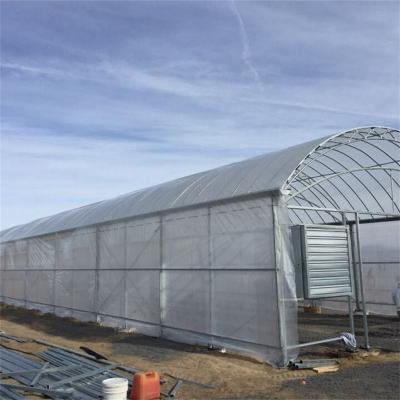 China Poly Plastic Film Single Span Greenhouse Hot Galvanized Steel Frame Anti Uv for sale