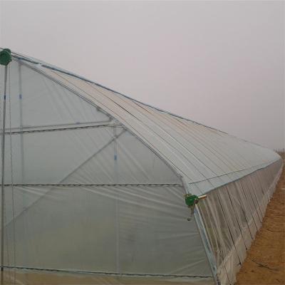 China Steel Frame Polyethylene Film Singlespan Greenhouse For Agriculture Farming for sale