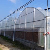 China Large Agroculture Plastic Film Coverd Transparent 200 Micron Multi Span Greenhouse for sale