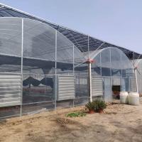 China Large Agroculture Plastic Film Coverd Transparent 200 Micron Multi Span Greenhouse for sale