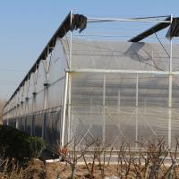 China Large Agroculture Plastic Film Coverd Transparent 200 Micron Multi Span Greenhouse for sale