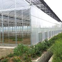 China Automatic Multi Span Plastic Film Greenhouse Agricultural Commercial Industrial for sale
