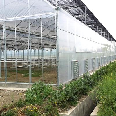 China Automatic Multi Span Plastic Film Greenhouse Agricultural Commercial Industrial for sale