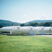 China High Tunnel Plastic Polyhouse Multi Span Greenhouse Agriculture Complete System for sale