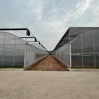China Commercial Multi Span Greenhouse with Tunnel Shading System Tomato Cooling System for sale