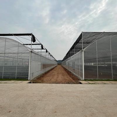 China Commercial Multi Span Greenhouse with Tunnel Shading System Tomato Cooling System for sale