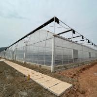China Agriculture Plastic Film Tunnel Greenhouse High Tunnel Multi Span for sale