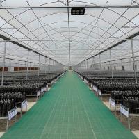 China Galvanized Steel Pipe Arch Roof Type Plastic Film Greenhouse With Hydroponics System for sale