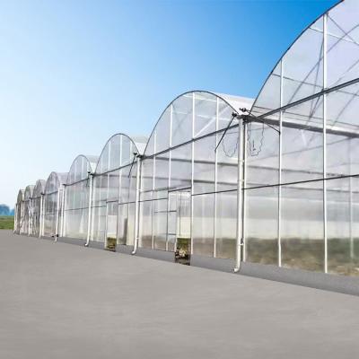 China Agricultural Farm Multispan Polycarbonate Panels Greenhouse with Shading System for sale