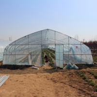 China Agriculture Farming Growing Tunnel Plastic Film Greenhouse For Pepper Growing for sale