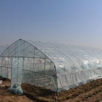China Arch Outdoor Chinese Tunnel Plastic Greenhouse Transparent For Cultivation for sale