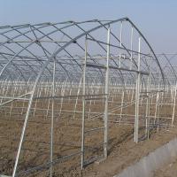 China Galvanized Steel Frame Tunnel Plastic Film Greenhouse for Vegetables Plants Grow for sale
