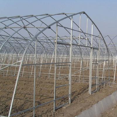 China Galvanized Steel Frame Tunnel Plastic Film Greenhouse for Vegetables Plants Grow for sale