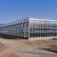 China Insulated Tempered Glass Greenhouse Sunlight Venlo Greenhouse For Horticulture for sale
