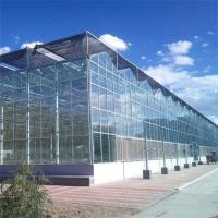 China Hot Dip Galvanizing Steel Frame Photovoltaic Solar Venlo Glass Greenhouse Multi Span for sale