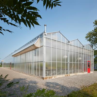 China Polycarbonate Multi Span PC Sheet Greenhouse Automatic Plants Growing for sale