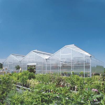 China Multi Span High Tunnel Greenhouse 6mm 8mm 10mm Pc Board Polycarbonate for sale