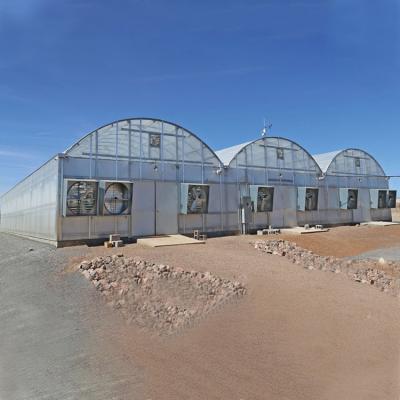 China Agricultural Polycarbonate Sheet Greenhouse Turnkey Project Serre Agricole Intelligent for sale