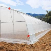 China Plastic Sheet Uv 200 Microns Single Span Greenhouse For Tropical Climate for sale