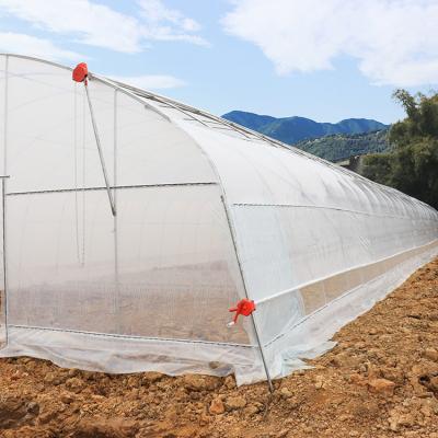 China Plastic Sheet Uv 200 Microns Single Span Greenhouse For Tropical Climate for sale