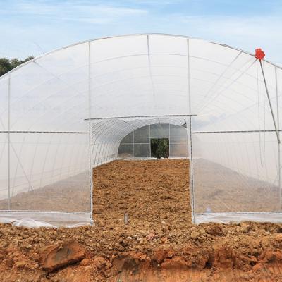 China Tunnel Plastic Film Top Vent Greenhouse Uv Single Span For Plants Growing for sale