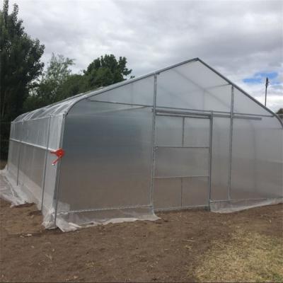 China Plastic Film High Tunnel Single Span Greenhouse Steel Frame 9x30m for sale