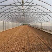 China High Tunnel Single Layer Serre Agricultural Greenhouse Plastic Film For Tomatoes for sale