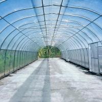 China Umbrella Roof Vent Single Span Greenhouse For Tropics Hydroponic Growing for sale