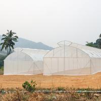 China Top Vent Automatic Multi Tunnel Umbrella Single Span Greenhouse For Tomato Planting for sale