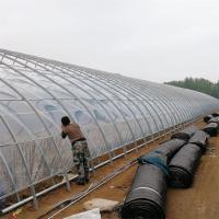 China Cold Area Winter Passive Solar Greenhouse Plastic Film Single Tunnel for sale