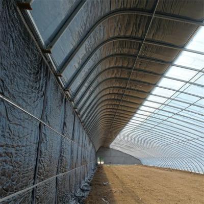 China Warm Quilt Hot Galvanized Steel Pipe Passive Solar Greenhouse For Vegetables for sale